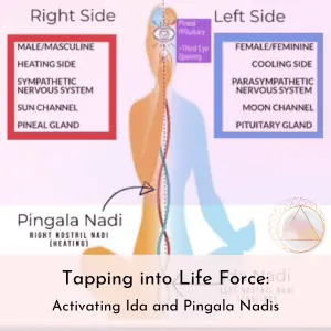 Tapping into Life Force: Activating Ida and Pingala Nadis - Gian Sandevi